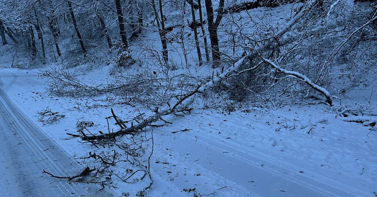 Pokračovali jsme v odklízení následků sněhové kalamity - SDH Lelekovice